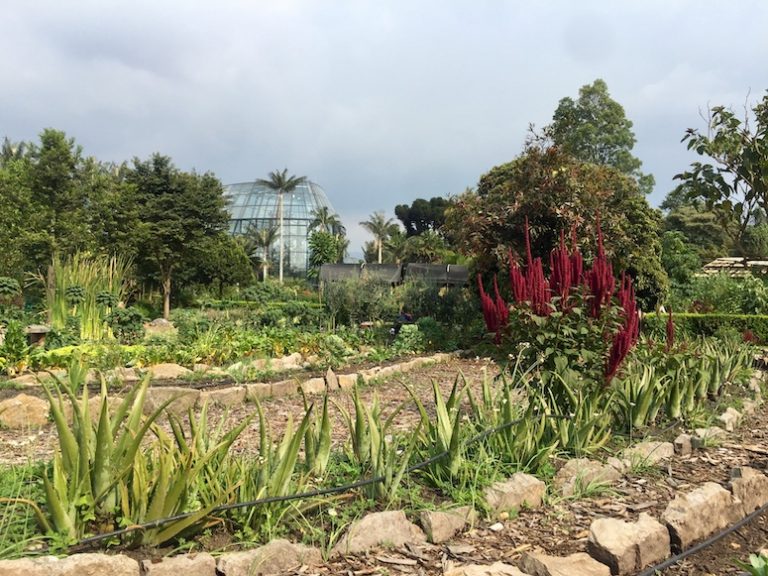 32 Unique Things To Do In Bogotá (Local Guide)