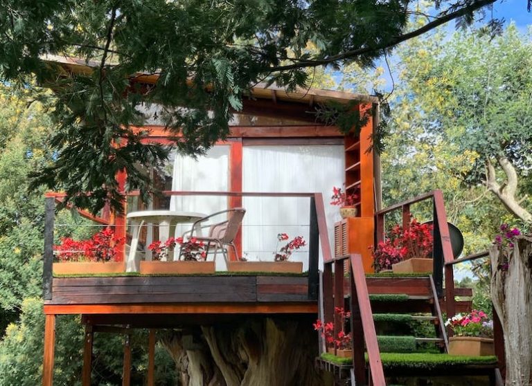 The Coolest Treehouse Lodges Near Bogotá